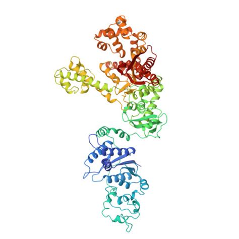 Rcsb Pdb 1taq Structure Of Taq Dna Polymerase