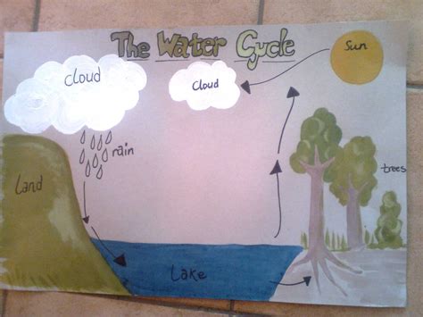 School Poster Water Cycle Poster Design Water Cycle Poster School
