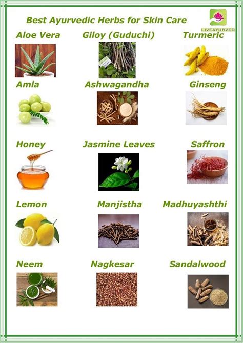 List Of Ayurvedic Herbs For Skin At Andrew Capone Blog