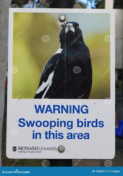Bird Swooping Warning Sign Editorial Image 80355730