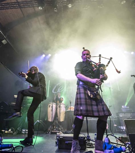 Peatbog Faeries Settle