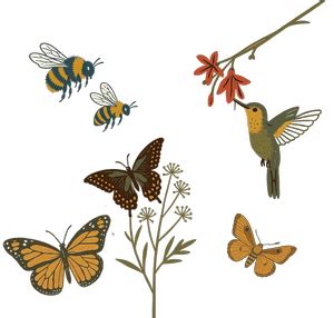 Bees In The D