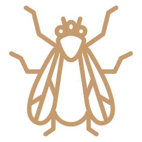 Flies Generic Color Outline Icon Freepik