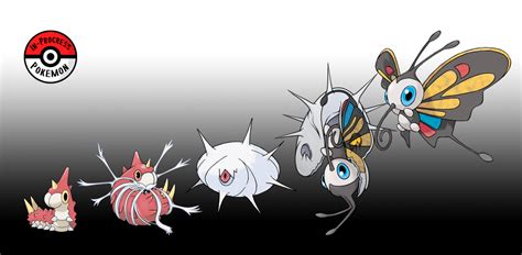 Cascoon Evolution Chart