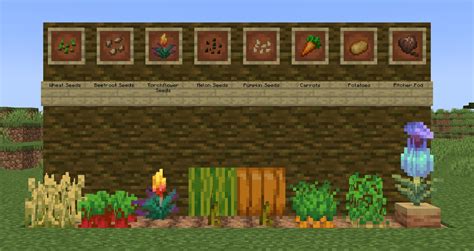 Wheat Seeds Minecraft Wiki