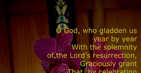 Daily Homilies Wednesday In The Octave Of Easter