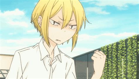 Echizen Album On Imgur