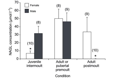 Concentration Of Nagl Over The Moult Cycle Of Male And Female Blue Download Scientific Diagram