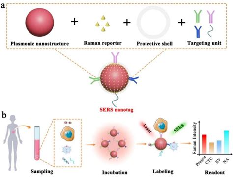 Review Recommendation Sers Sensors Biomarker Cancer Sensing Chemosensors Mdpi