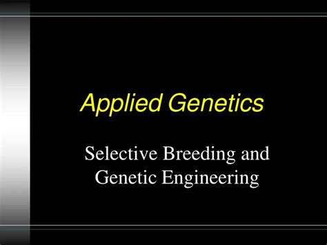 Ppt Genetics Breeding And Engineering Insights Powerpoint Presentation