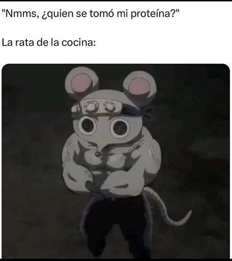Top Memes De Ratas En Español Memedroid