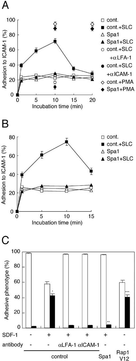 Rap1 Translates Chemokine Signals To Integrin Activation Cell
