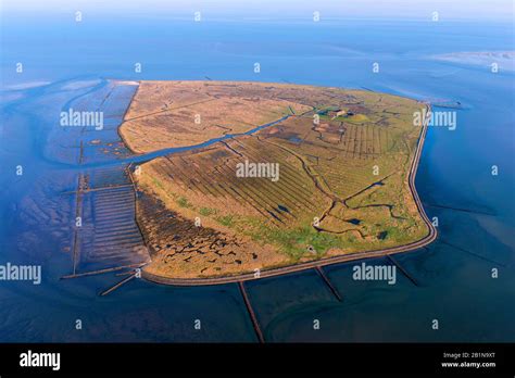 Aerial View Of Hallig Suederoog With Marsh Meadows And Terp Germany