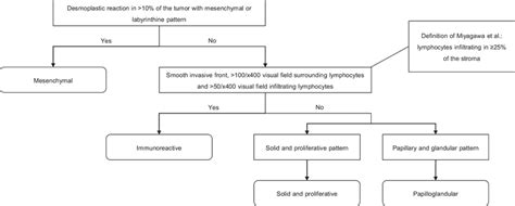 Classification Criteria Of Murakami Et Al With The Definition Of
