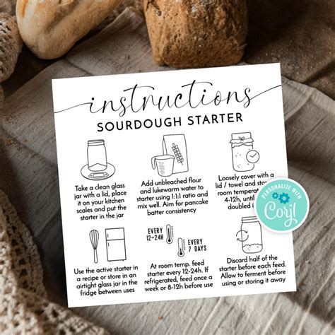 Sourdough Starter Care Instructions Card Levain Guide Template