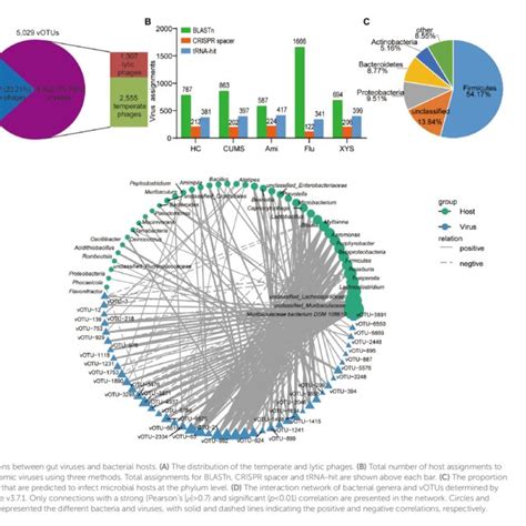 The Functional Profiles Of Gut Virome In The Kegg Pathway Via