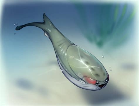 Original Drawn By Combosanddoodles Danbooru