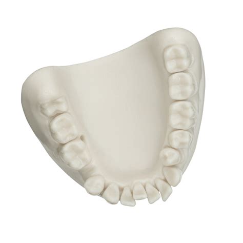 Tepe Dental Model Tepe Direct