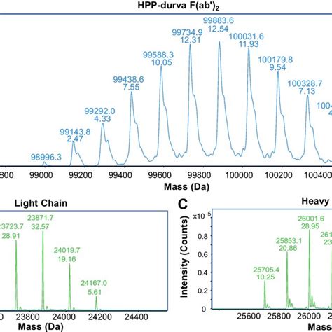 Cell Line Expression Verification And Cell Binding Assay Both Wb A Download Scientific