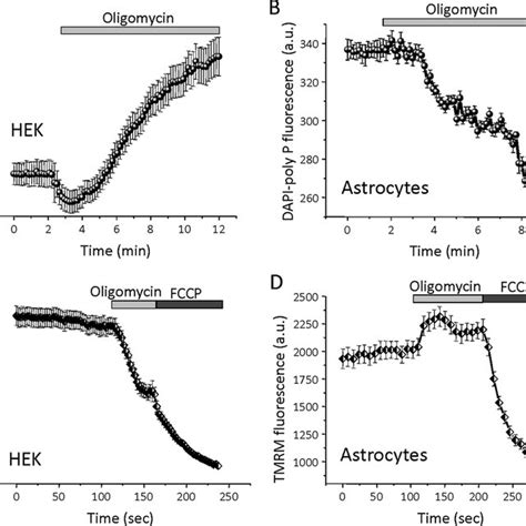 Fluorescence Spectrum Of Dapi In The Presence Of Mitochondria A Download Scientific Diagram