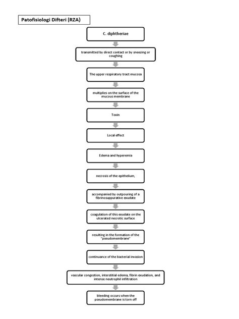 Patofisiologi Difteri