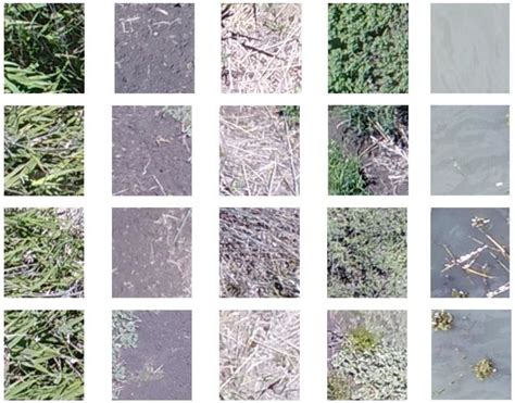 Examples Of The Tiles Used To Classify Each Vegetation Class And To