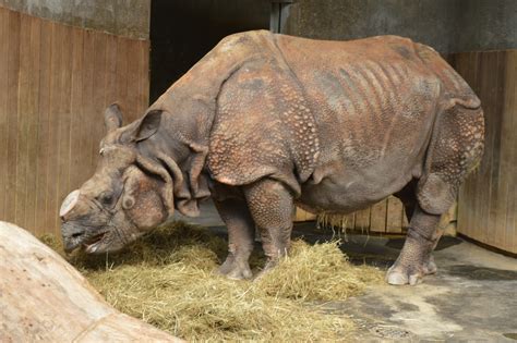 Software Engineers Backlog July 2017