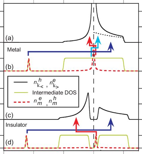 Color Online A And C Show The Distribution Functions Of Holes And Download Scientific