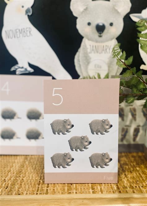 Australian Bush Classroom Bundle Whimsy Printables Shop