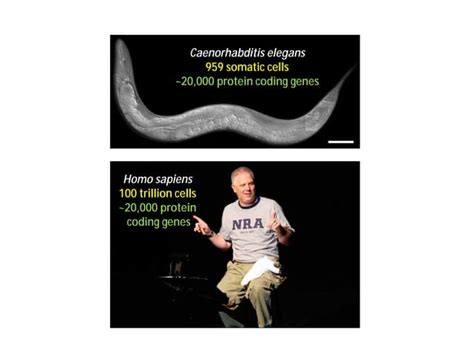 Transcriptomics And Metabolomics Pdf