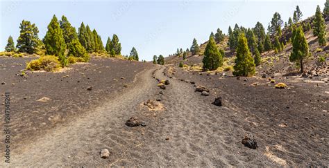 Path Along Ruta De Los Volcanes Beautiful Hiking Path Over The