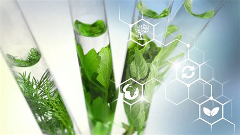 About Productos Biogeneticos De México Sa Of Cv