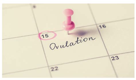 App To Calculate An Ovulation Period Learn More Information Techhong