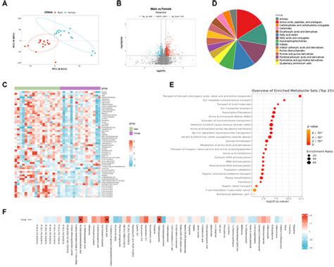 Sex Differences In Atrial Fibrillation Evidence From Circulating