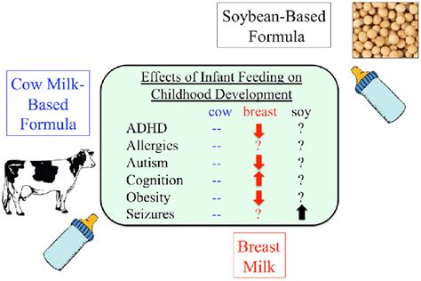 Infant Formula And Disease As Many As 25 Of Infants Consume