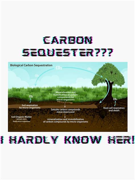 Carbon Sequester I Hardly Know Her Sticker For Sale By Geosciandi
