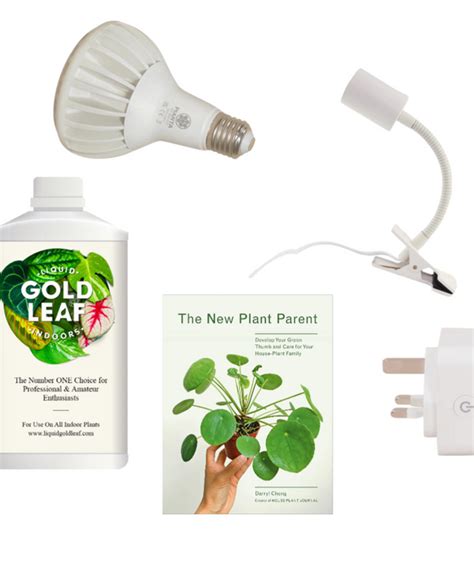 Houseplant Care Bundle Root Houseplants Root Houseplants