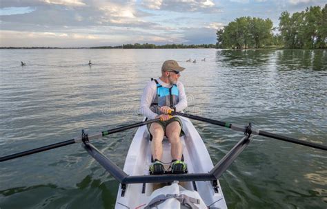 Senior Man In A Rowing Shell And Canadian Geese On A Calm Lake In