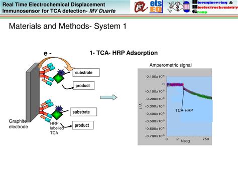 Ppt Real Time Electrochemical Displacement Immunosensor For Tca