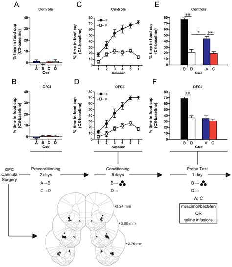 The Ofc Is Necessary When Behavior Is Based On Inferred Value Figures