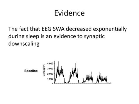 Ppt Sleep Function And Synaptic Homeostasis Powerpoint Presentation