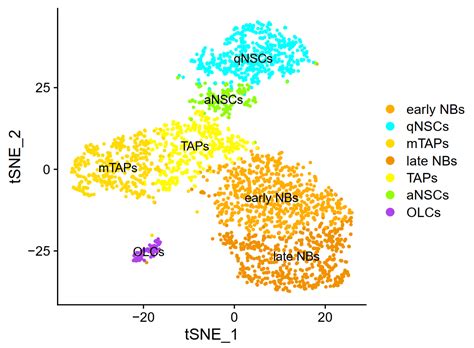 GitHub YutingPKU PaperWork ScRNA GSE MouseSVZ Reanalyze Of GSE ScRNA Seq Data