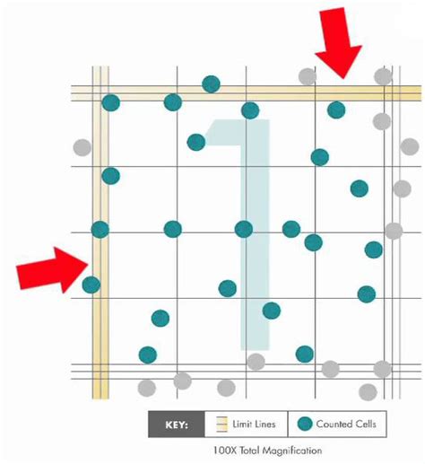 Trypan Blue Cell Viability Testing In Rajkot Id 7937220197