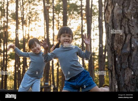 Lustige Kleine Schwestern Die Im Winterpark Hinter Dem Baum Aus Dem