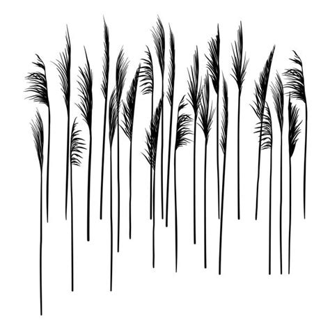 Tall Grass Background Illustrations Royalty Free Vector Graphics