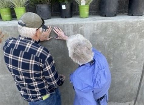 Paula Hertel Posted On Linkedin