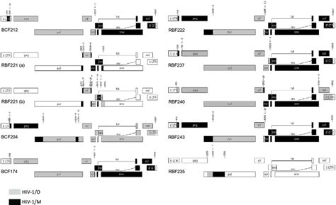 Genomic Profiles Of The 10 Hiv 1mo Recombinants Described In This
