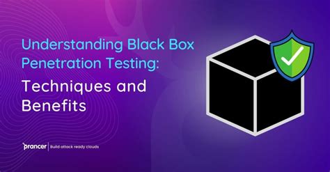 understanding black box penetration testing key techniques