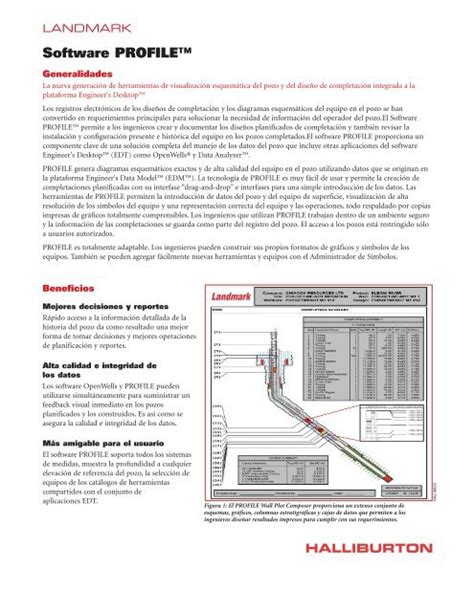 Software Profile™ Halliburton