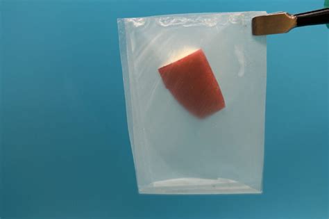 Leaf Inspired Design Brings Better Bioplastics